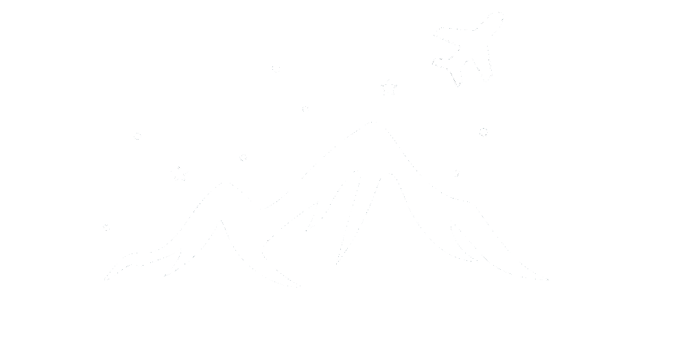 The Wise Pilot – Online Test Prep